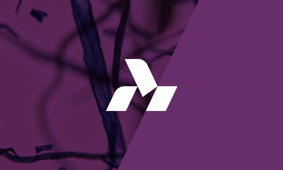 Ahlstrom - Reports and presentations