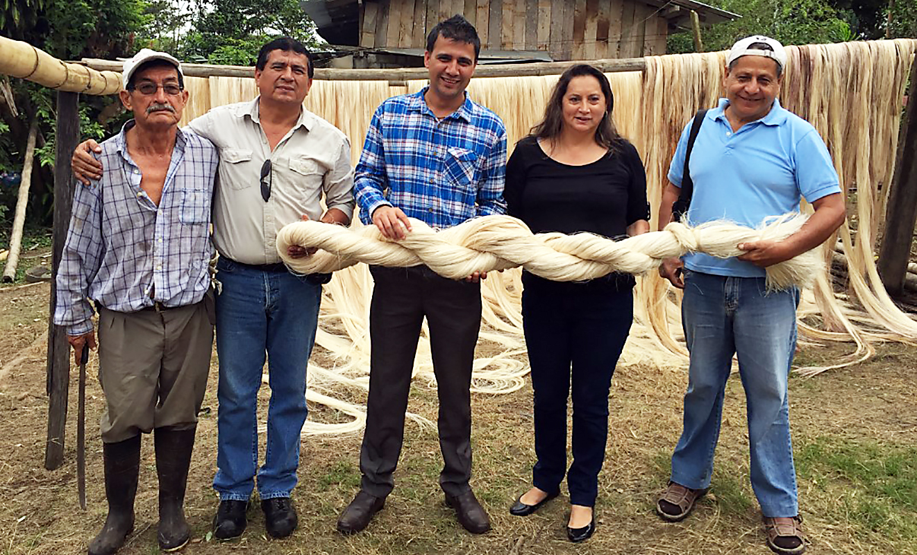 Ahlstrom - Auditing abaca supply chains