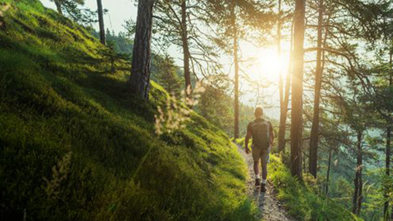 Ahlstrom - 关于我们