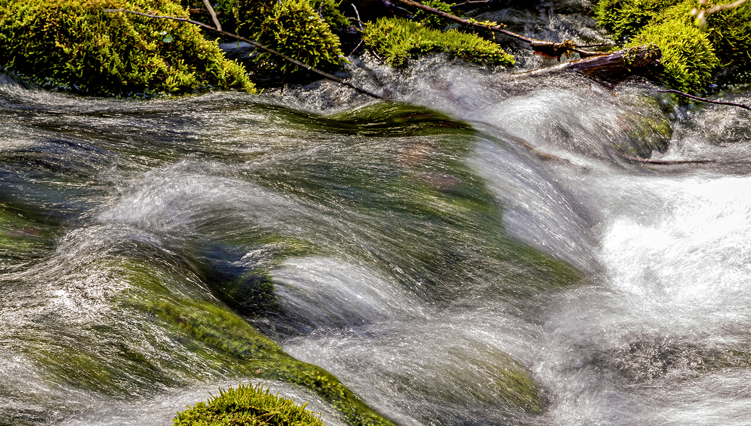 Ahlstrom - Project Water: Reducing freshwater use and impacts to ...